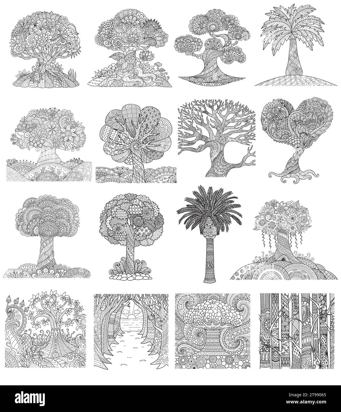 Arbres adultes Banque d'images noir et blanc - Alamy