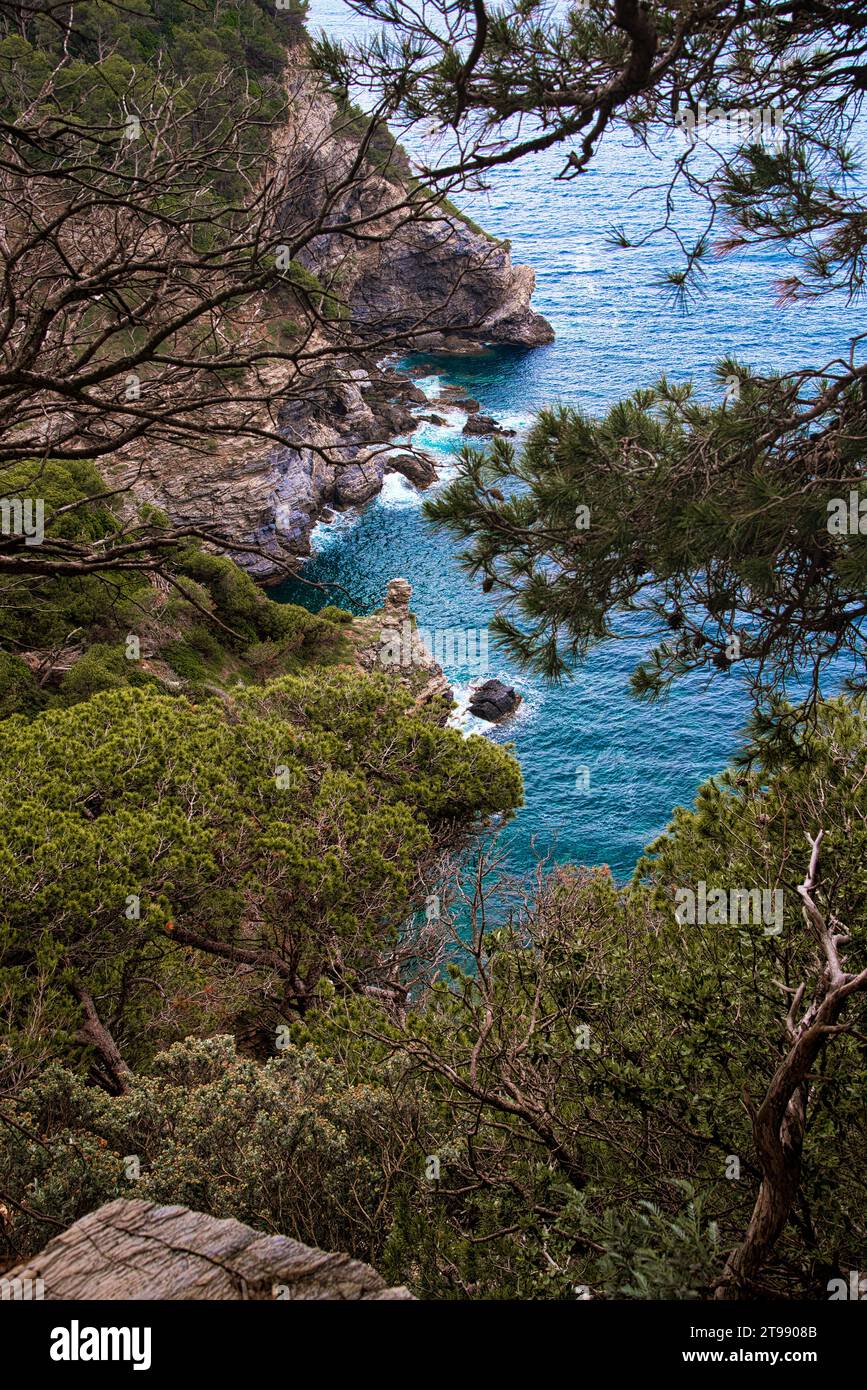 le bord de mer dans la partie ouest de la presquile de Giens appartient ...