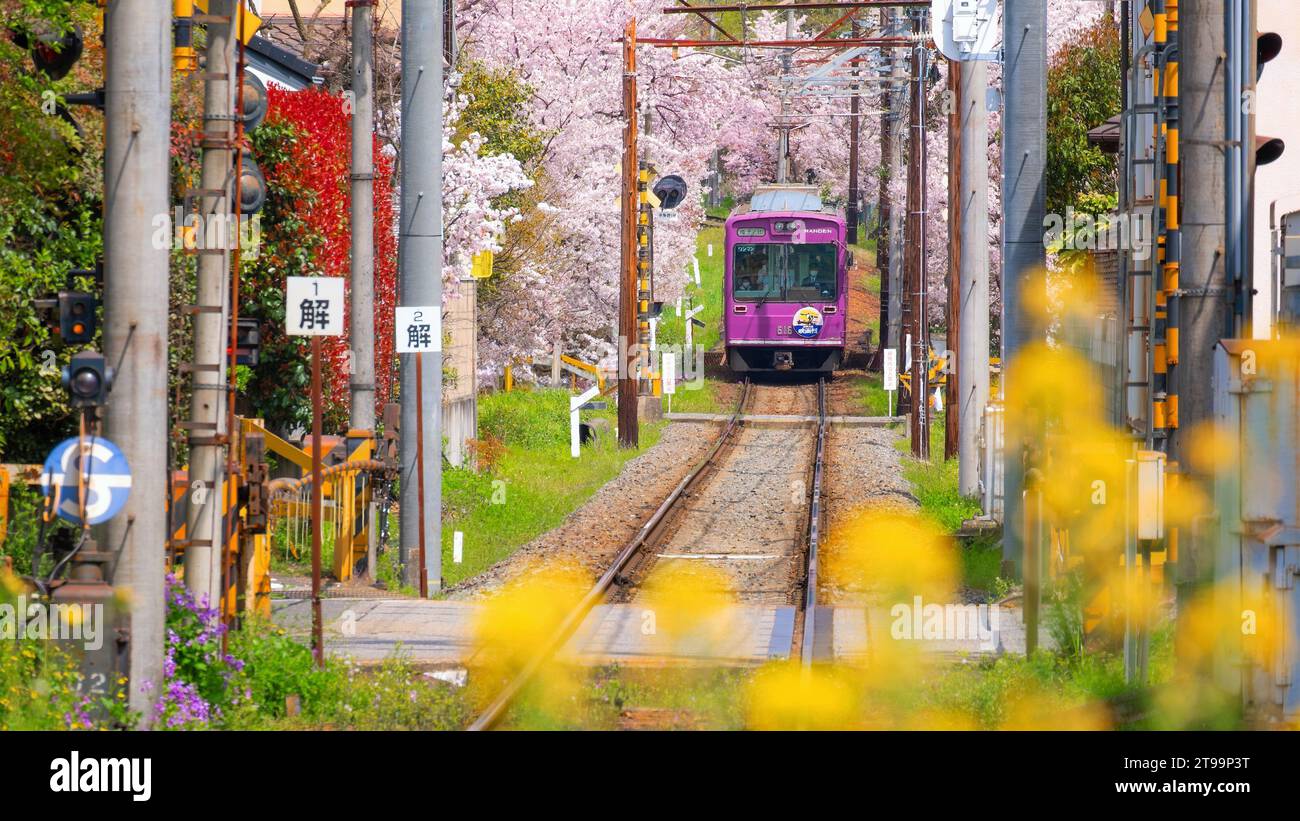 Kyoto, Japon - Mars 31 2023 : Keifuku Tram est exploité par Keifuku ...