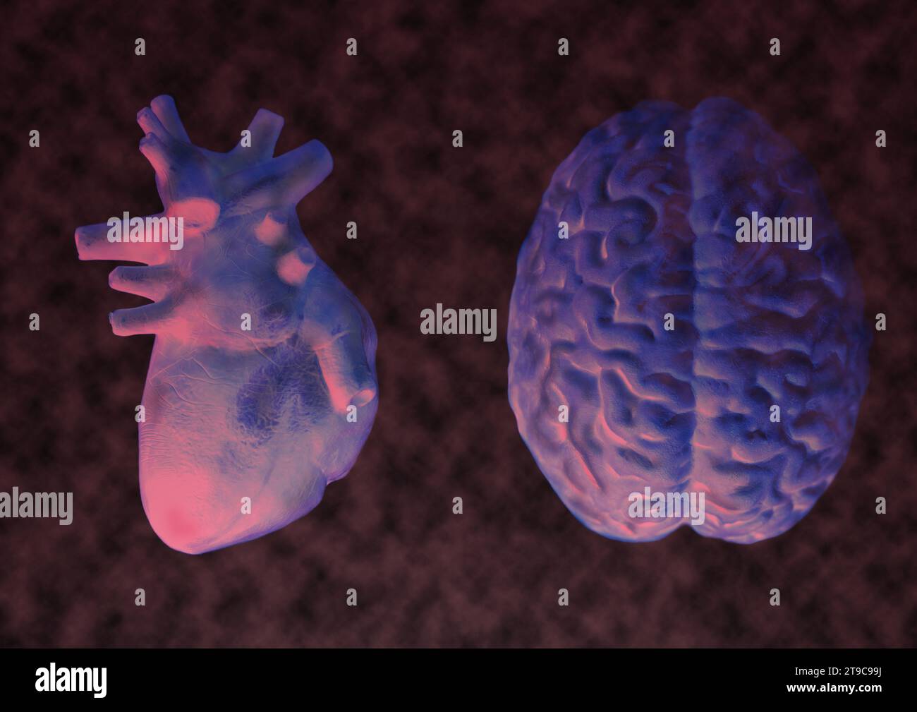 Cerveau et cœur humains, médical, éducatif, anatomie et émotion ...