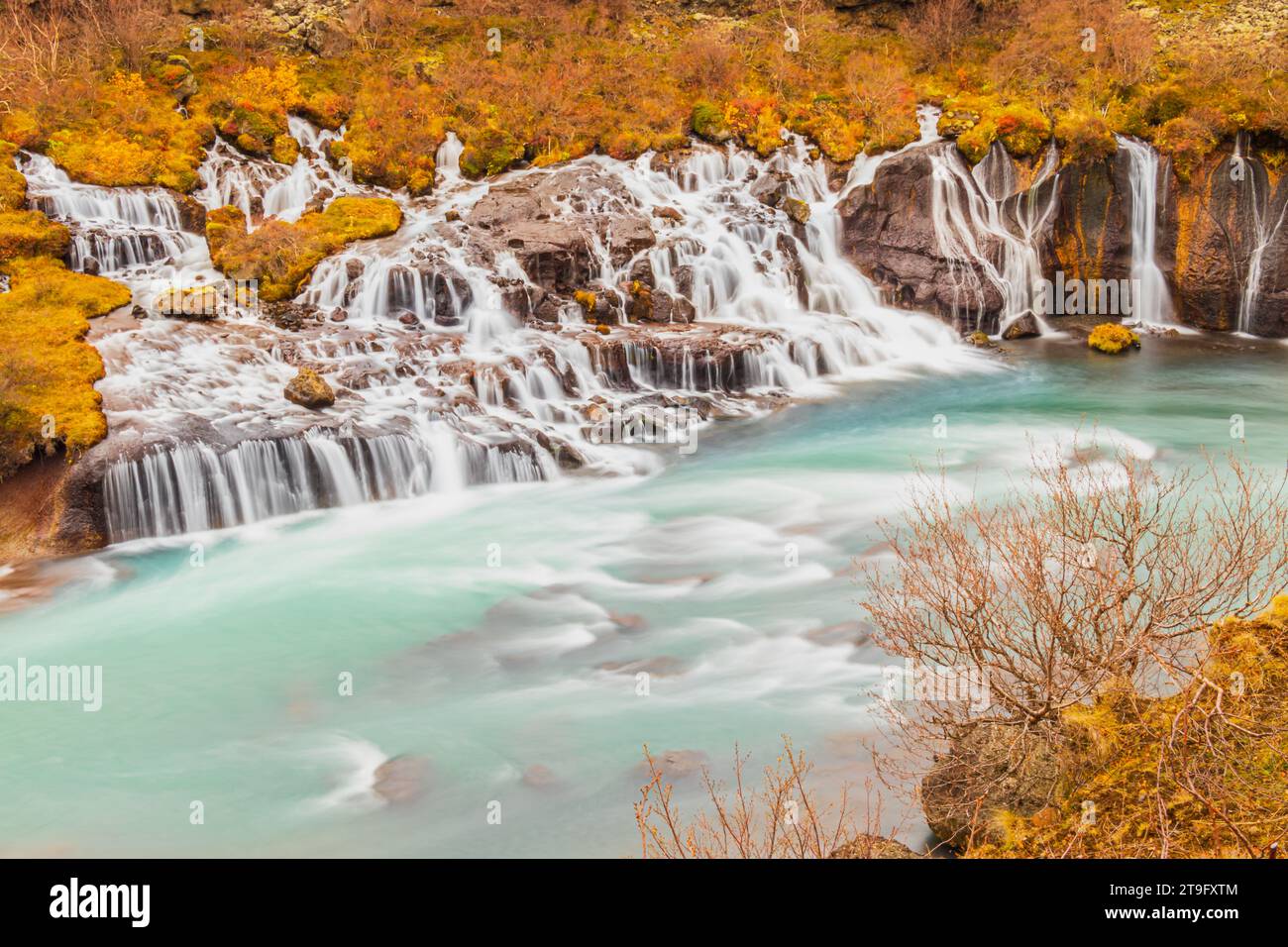La cascade de Hraunfossar en automne, est une série de cascades formées ...