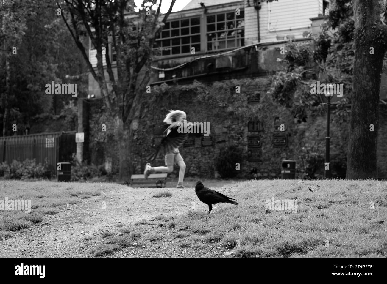 La cité des corbeaux Banque de photographies et d’images à haute ...