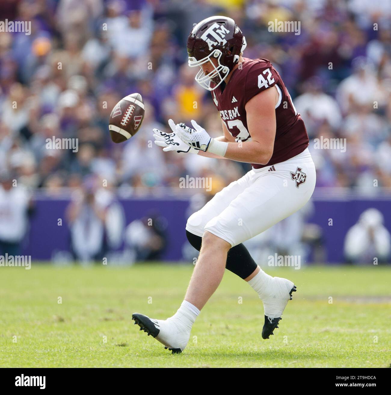 25 novembre 2023 : Texas A&M Tight End Max Wright (42 ans) réagit après ...