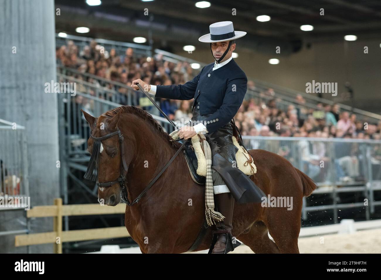 Un cavalier et son cheval lors de la compétition Doma Vaquera à la ...