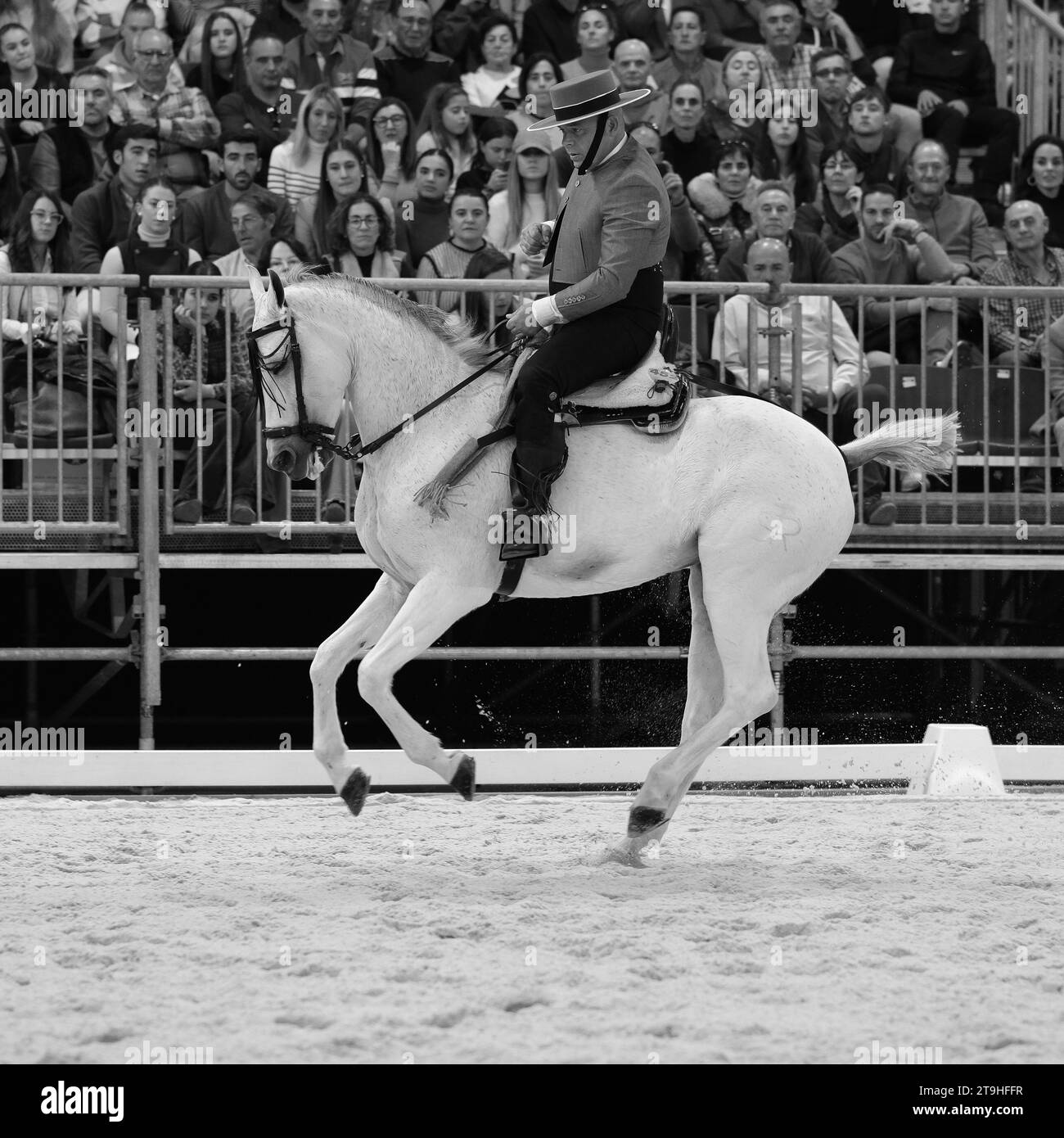 Un cavalier et son cheval lors de la compétition Doma Vaquera à la ...
