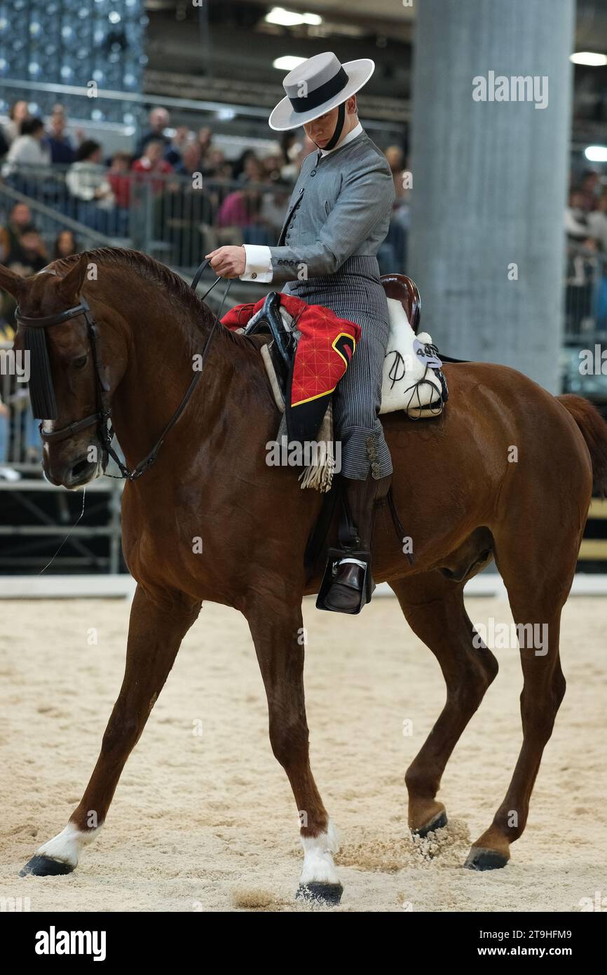 Un cavalier et son cheval lors de la compétition Doma Vaquera à la ...