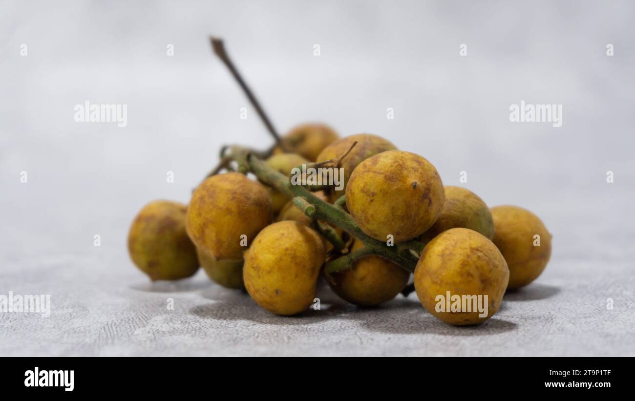 Baccaurea polyneura Banque de photographies et d’images à haute ...