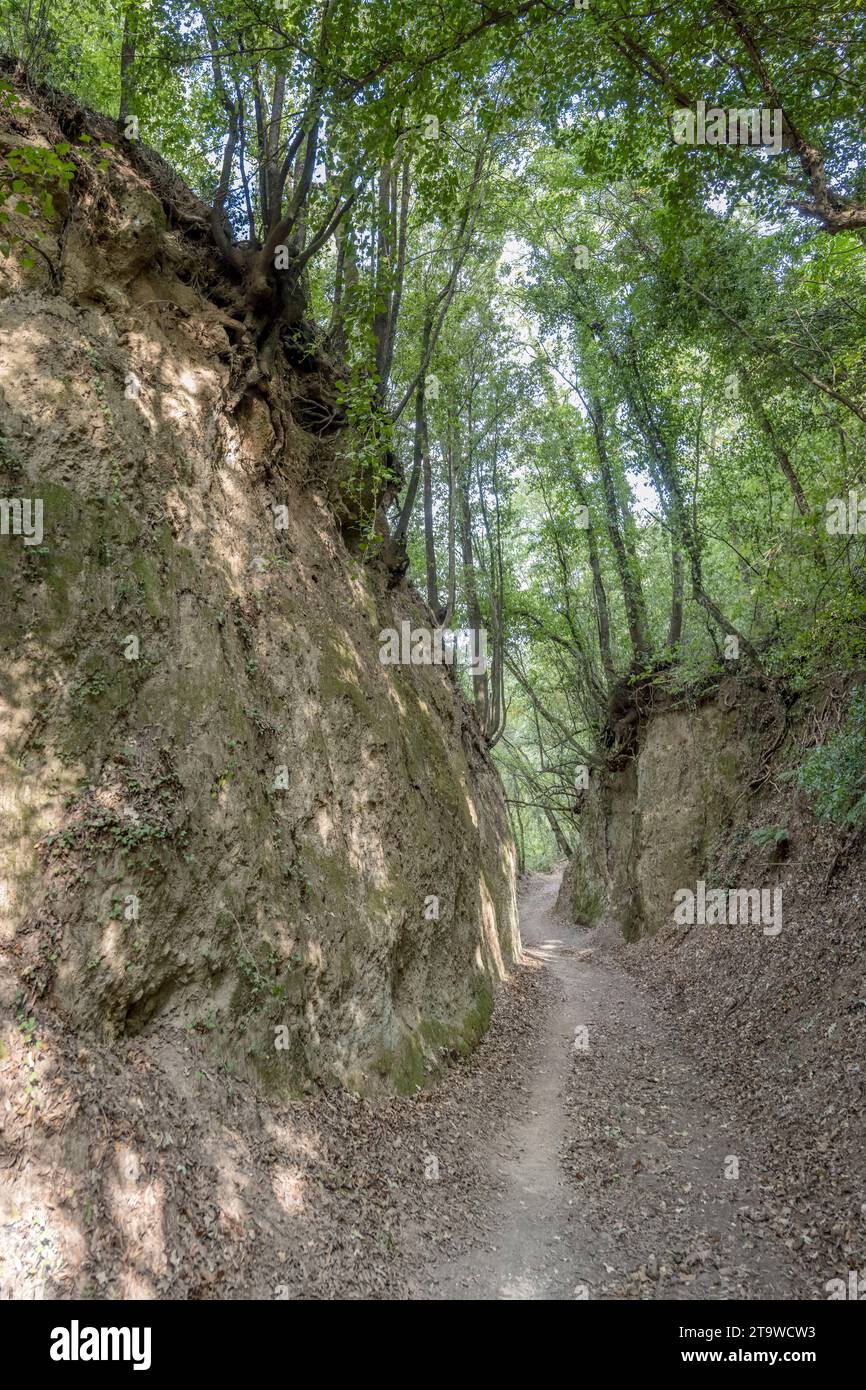 Pentes rocheuses creusées du chemin sous la forêt au sentier historique ...