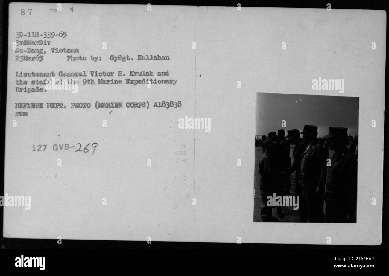 The corrs Banque d'images noir et blanc - Alamy