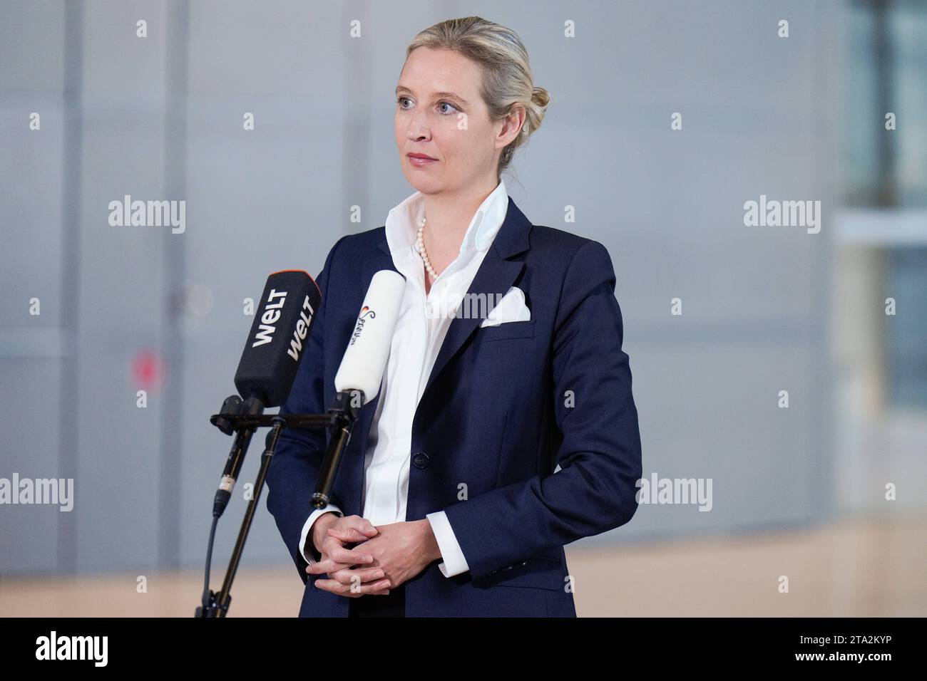 Alice Weidel, AfD, MDB Alice Weidel, AfD, MDB im Bundestag Berlin ...