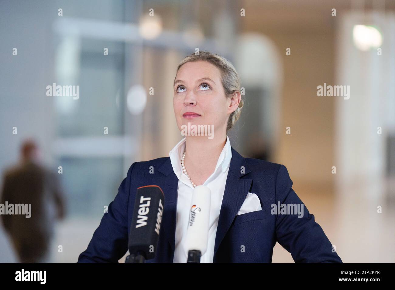Alice Weidel, AfD, MDB Alice Weidel, AfD, MDB im Bundestag Berlin ...
