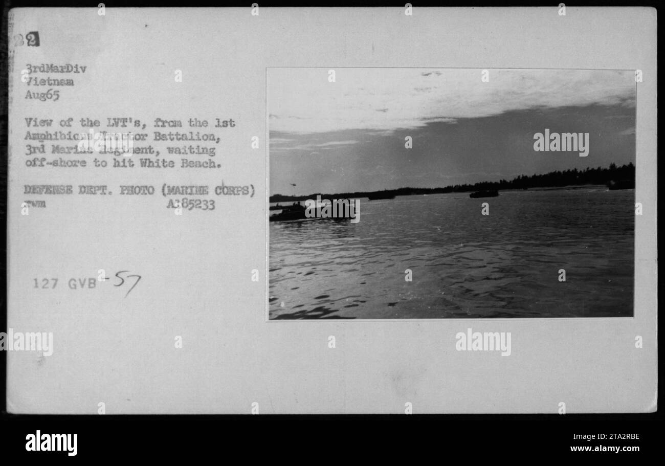 L'image capture une vue de LVT (Landing Vehicle, Tracked) du 1st ...