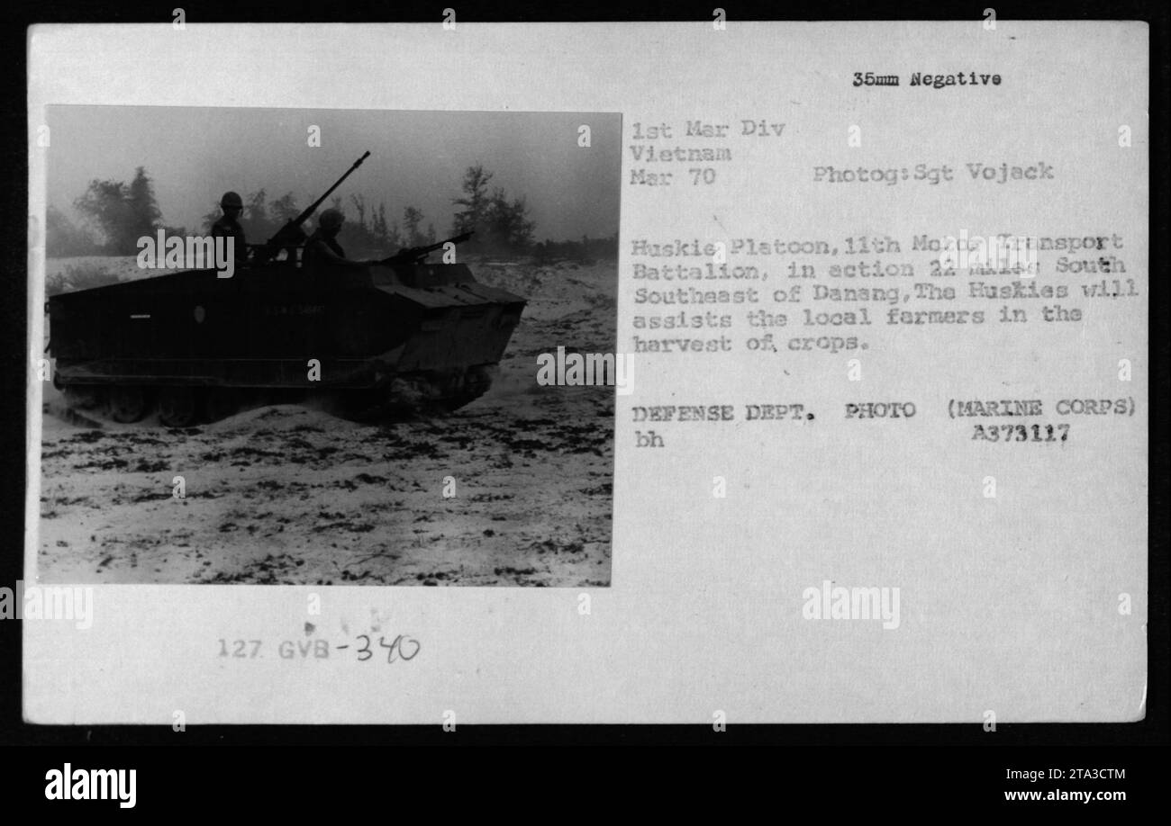 Une image prise en mars 1970 montre le peloton Huskie du 11e Bataillon ...