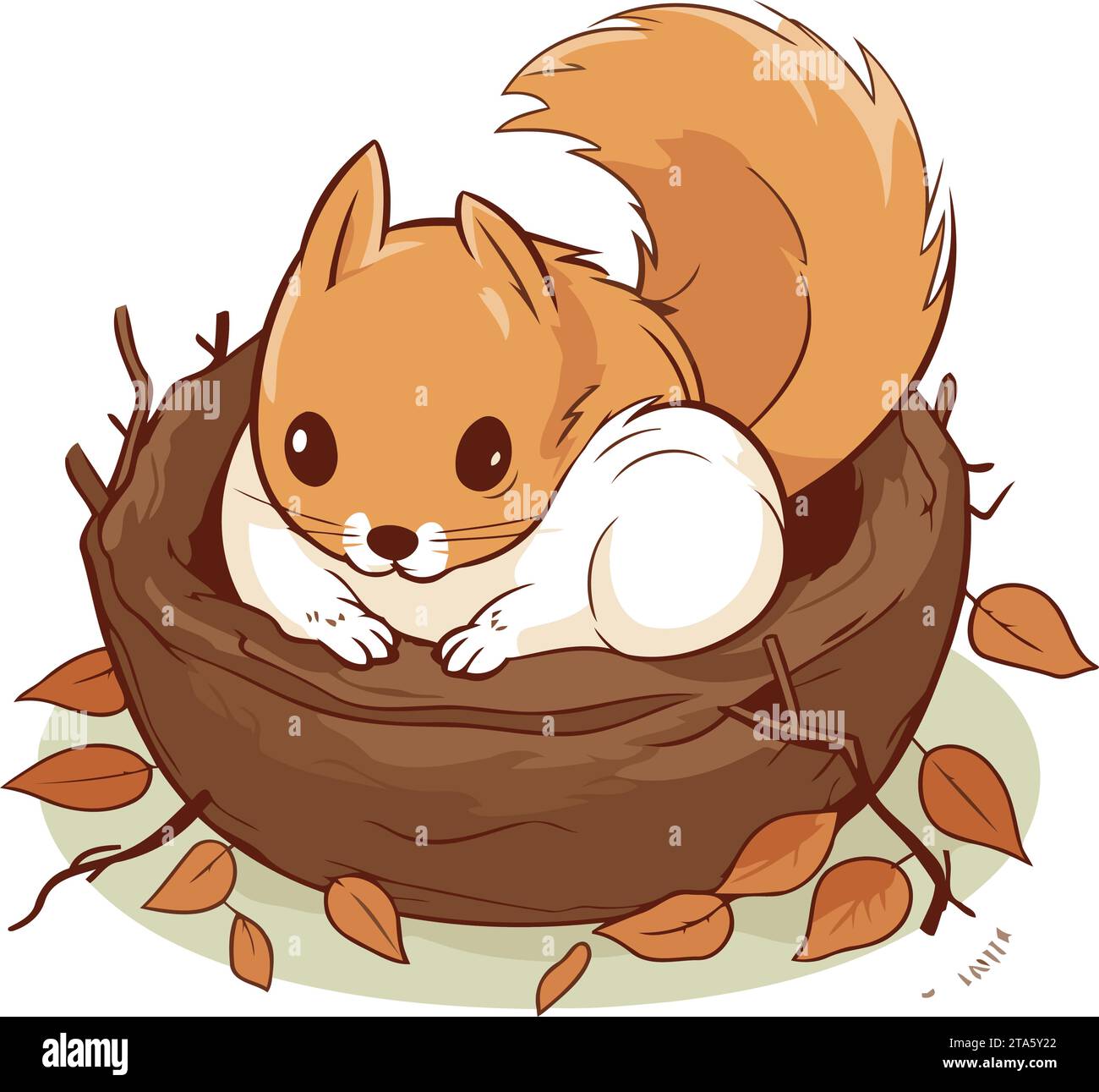 Nid de feuilles Banque d'images détourées - Alamy