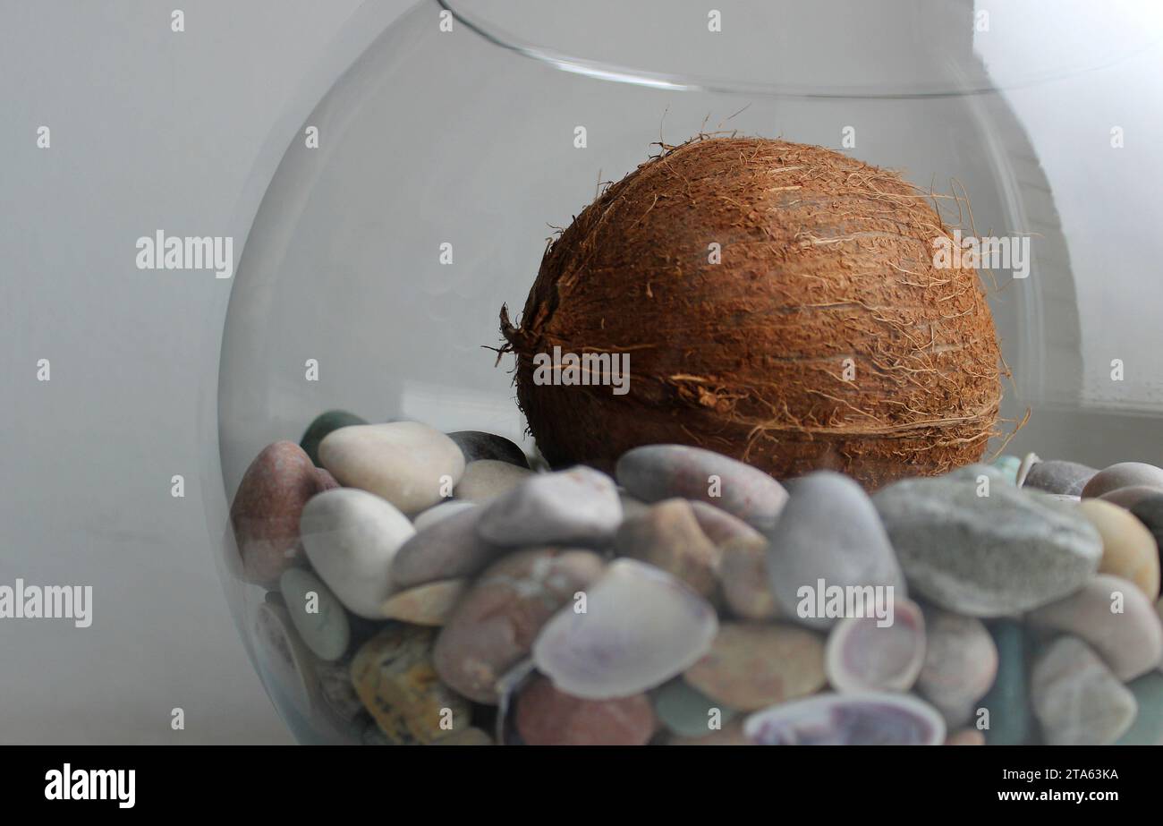 Round fish bowl Banque de photographies et d’images à haute résolution ...