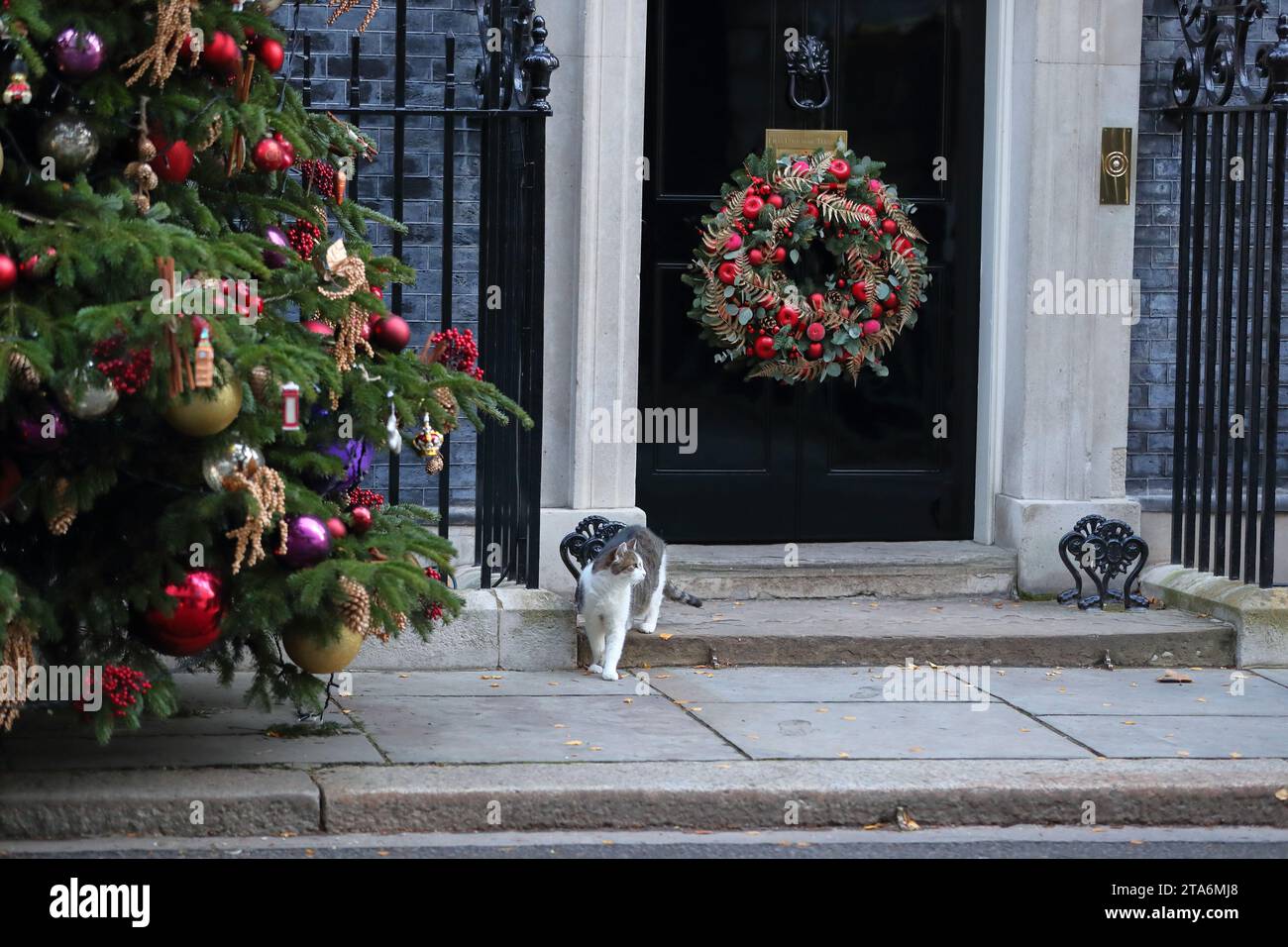 Porte décorée 10 downing street Banque de photographies et d’images à ...