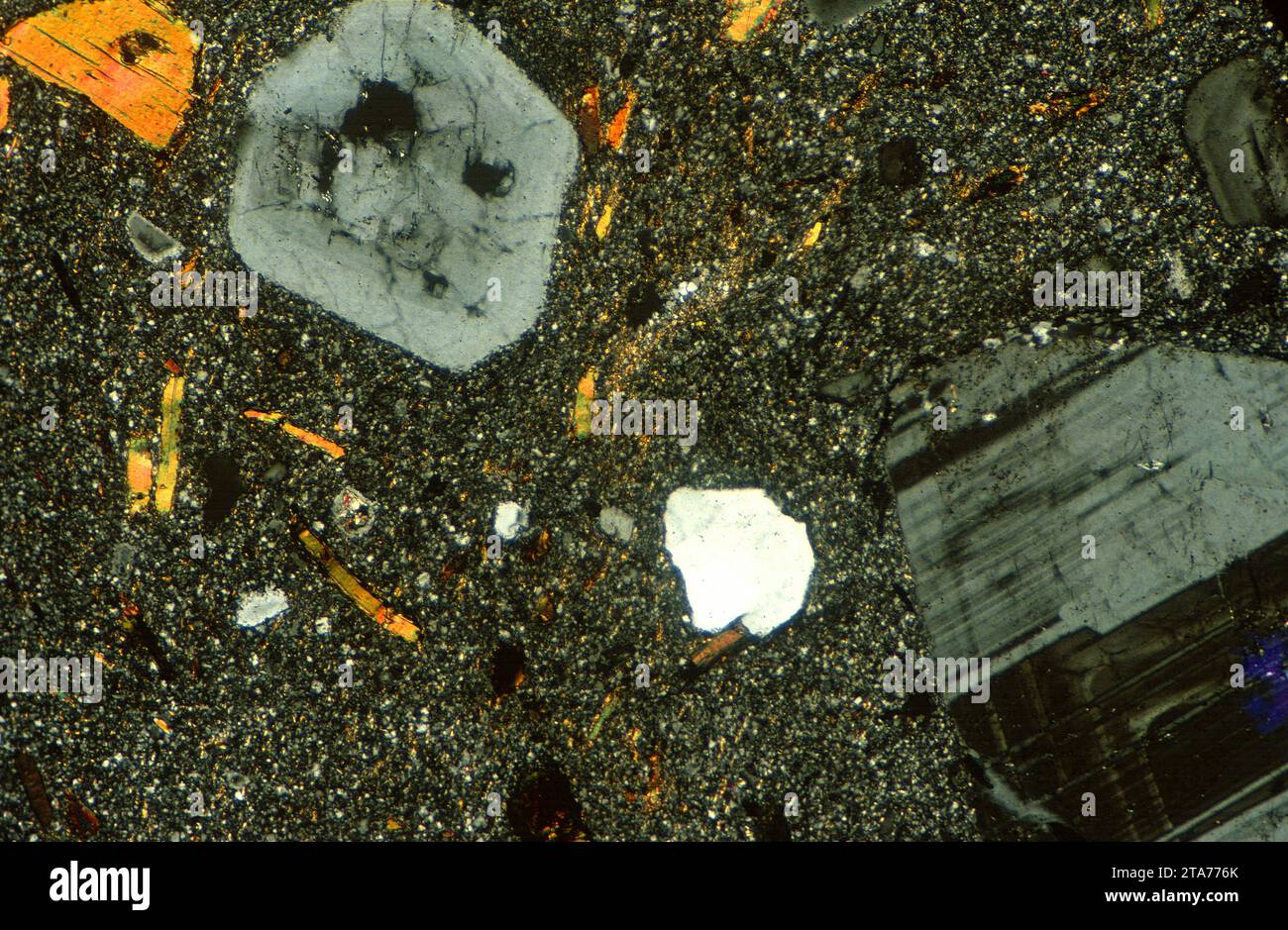 Matrice fine Banque de photographies et d’images à haute résolution - Alamy