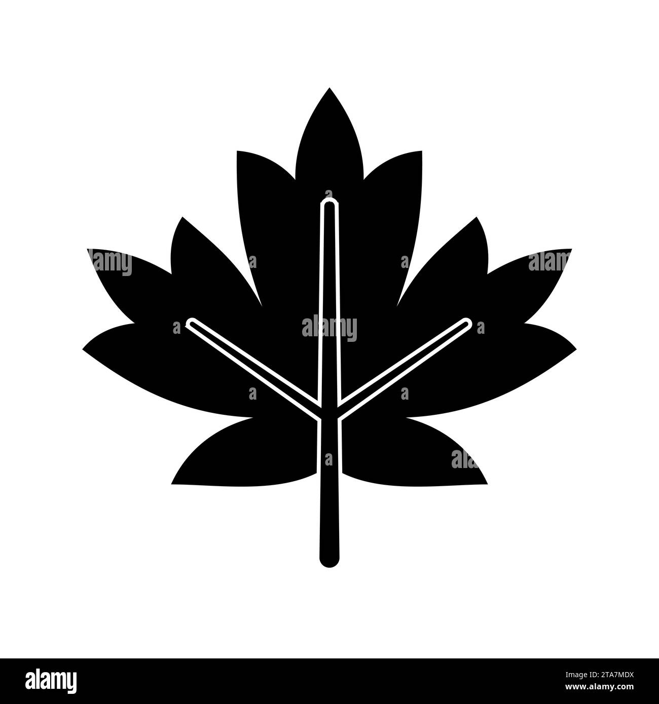 Icône Black Maple Leaf isolé sur fond blanc. Illustration vectorielle ...