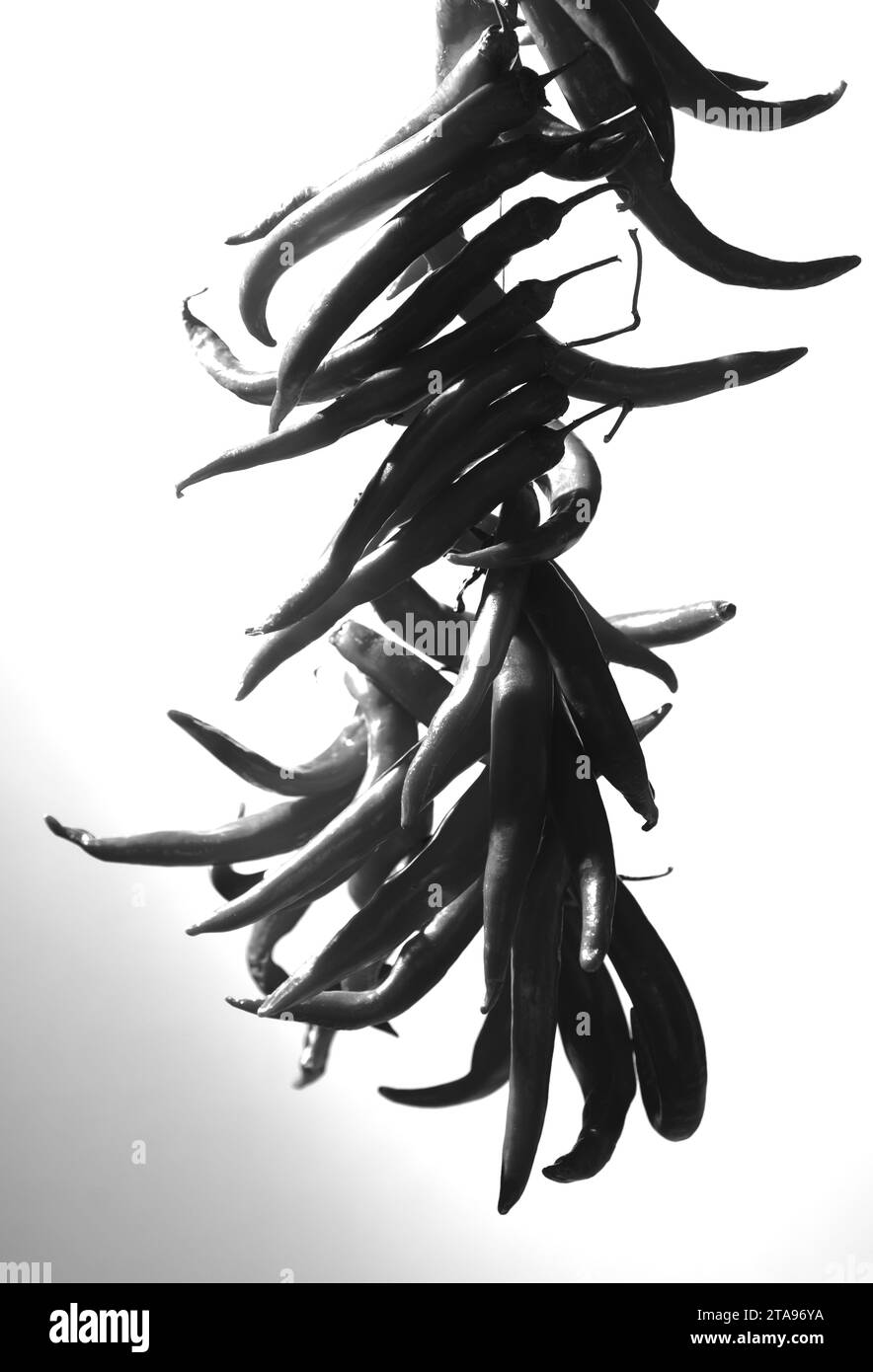 Légume sec Banque d'images noir et blanc - Alamy