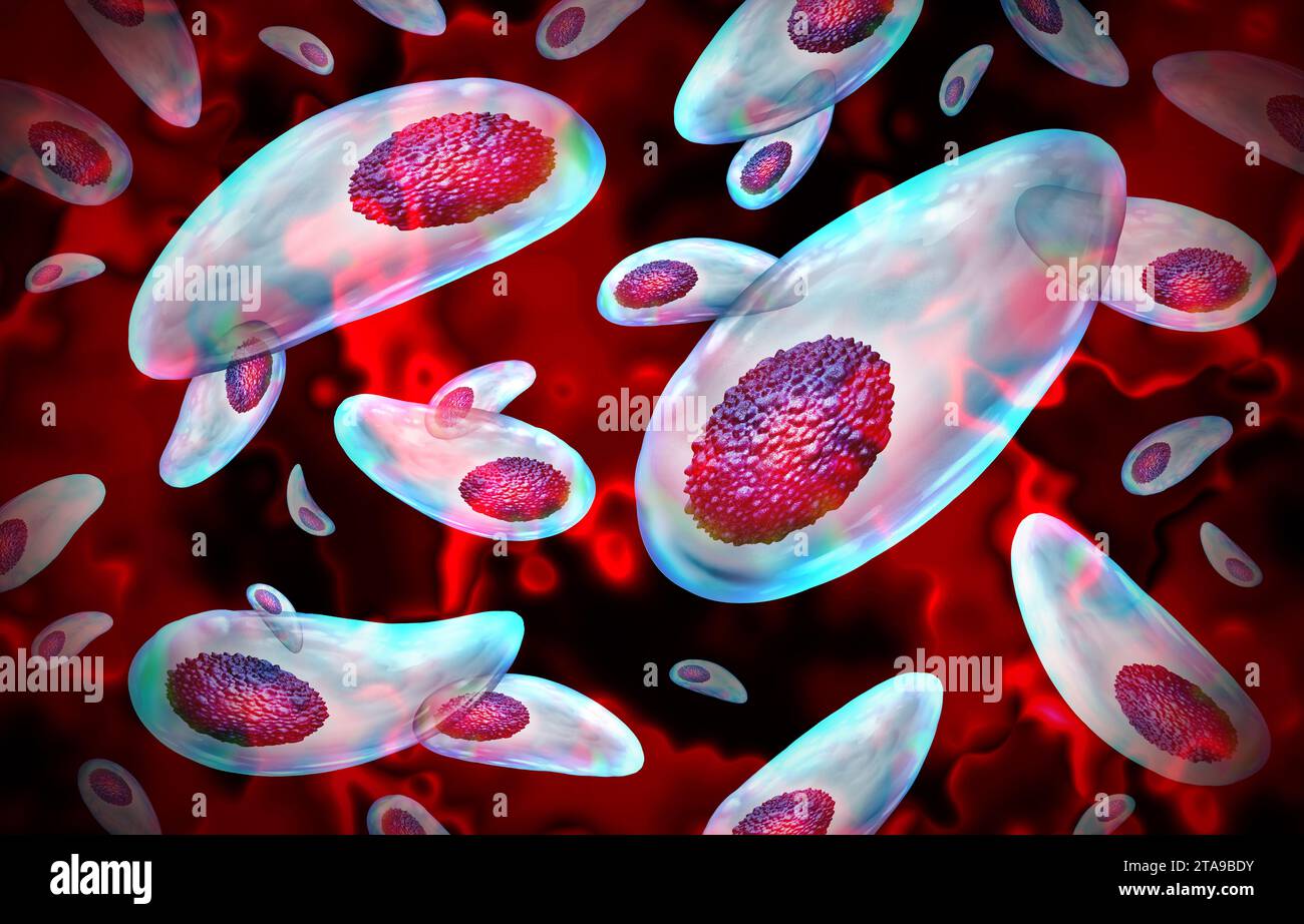 Infection parasitaire Banque de photographies et d’images à haute ...