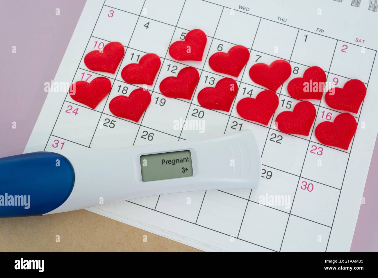 Fases del ciclo menstrual Banque de photographies et d’images à haute ...