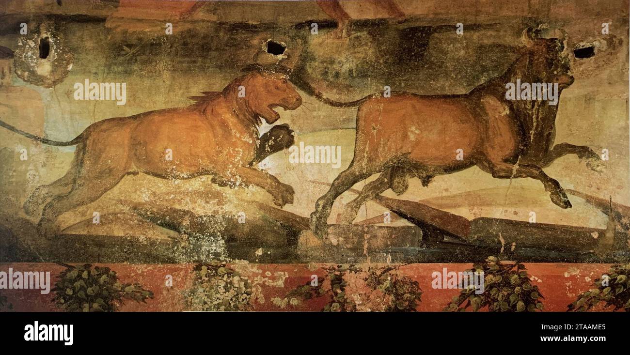 Bull hunting Banque de photographies et d’images à haute résolution - Alamy