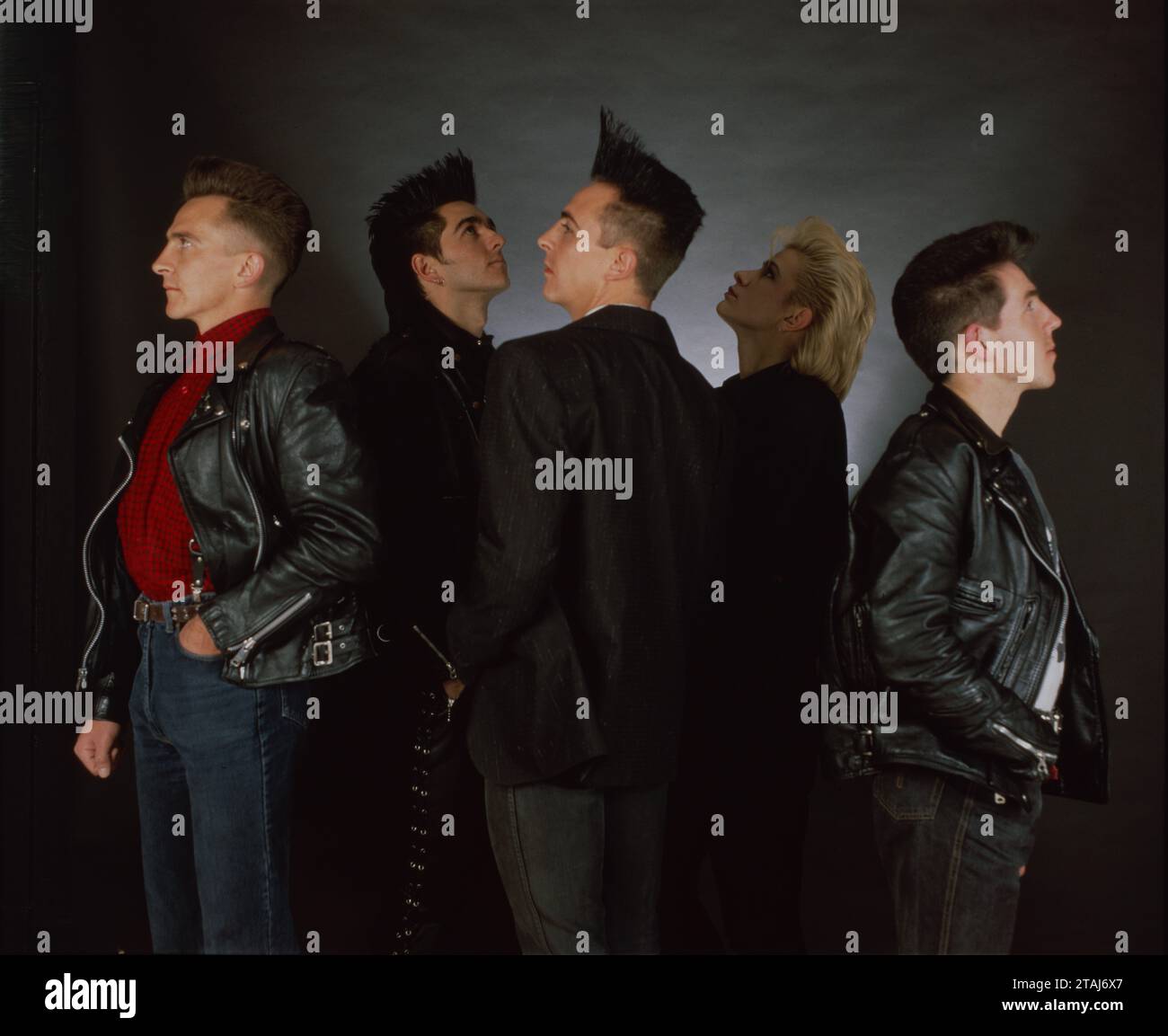 Graham seale Banque de photographies et d’images à haute résolution - Alamy