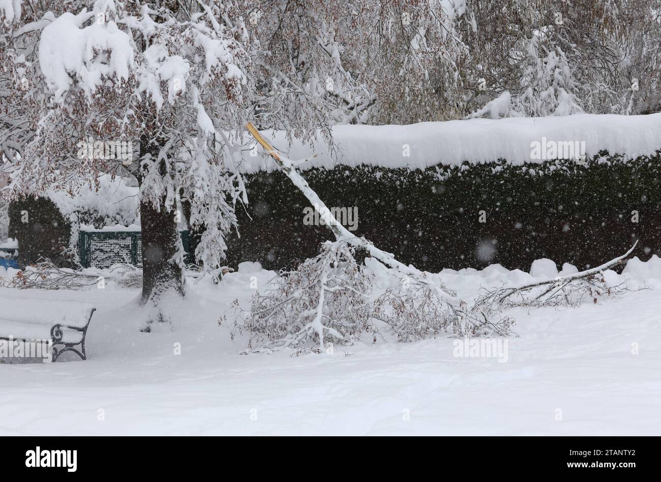 Tutzing, Bayern, Deutschland 02. Décembre 2023 : eine Wintertag dans Tutzing Landkreis Starnberg ...