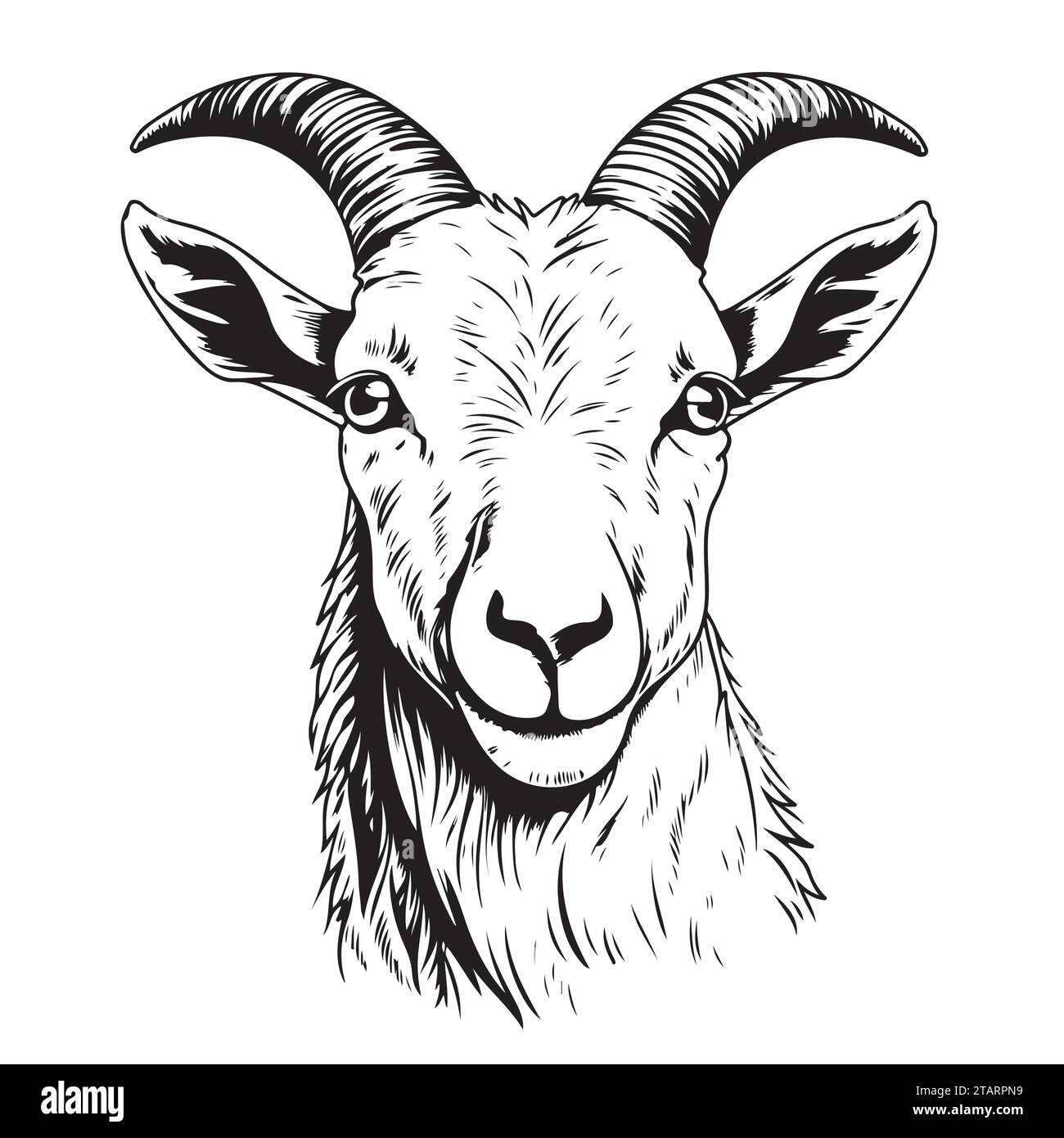 Portrait de chèvre de ferme croquis dessiné à la main ferme bétail ...