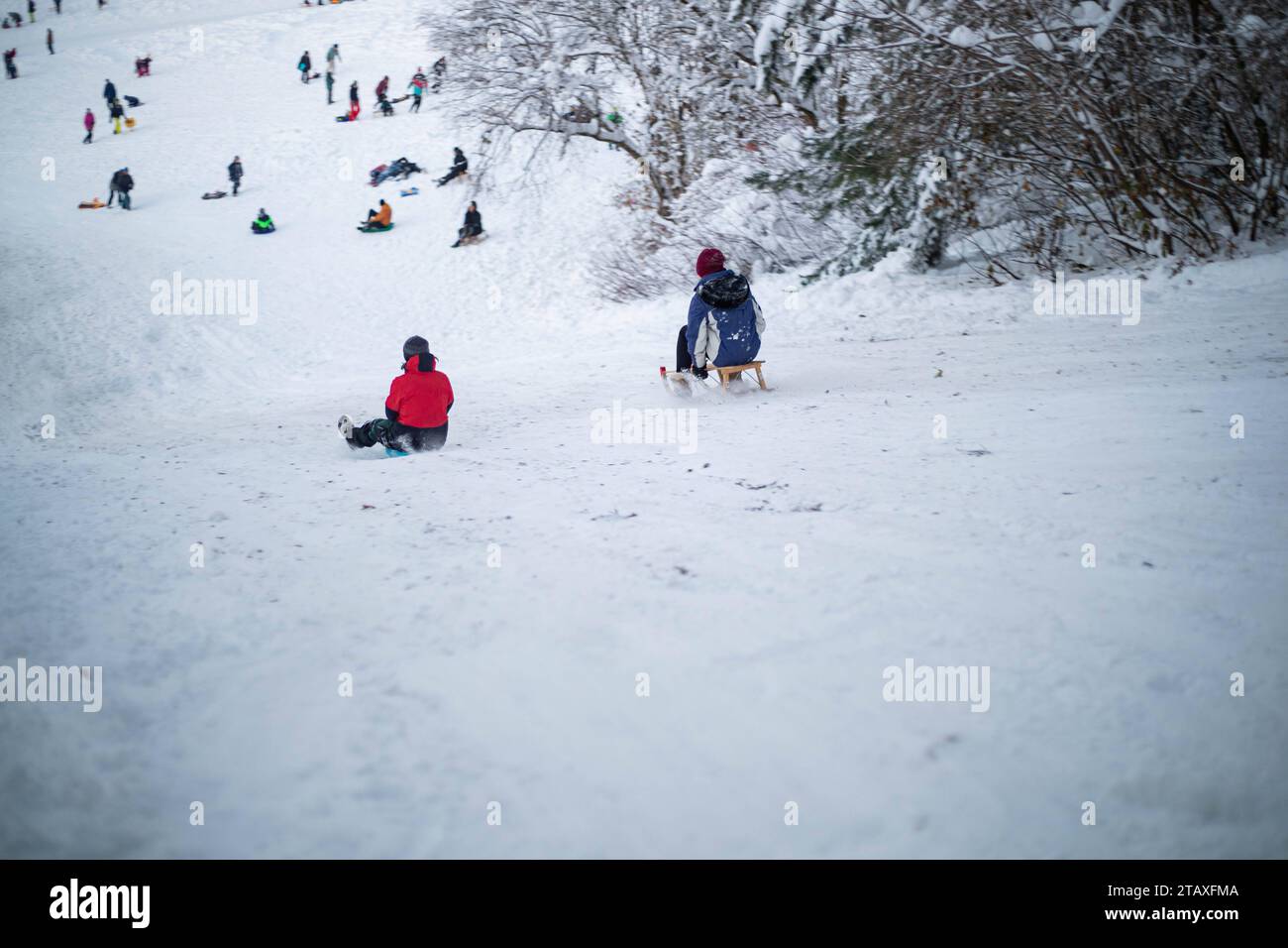 München voller Schnee : Viele Menschen gehen rodeln Impressionen aus ...