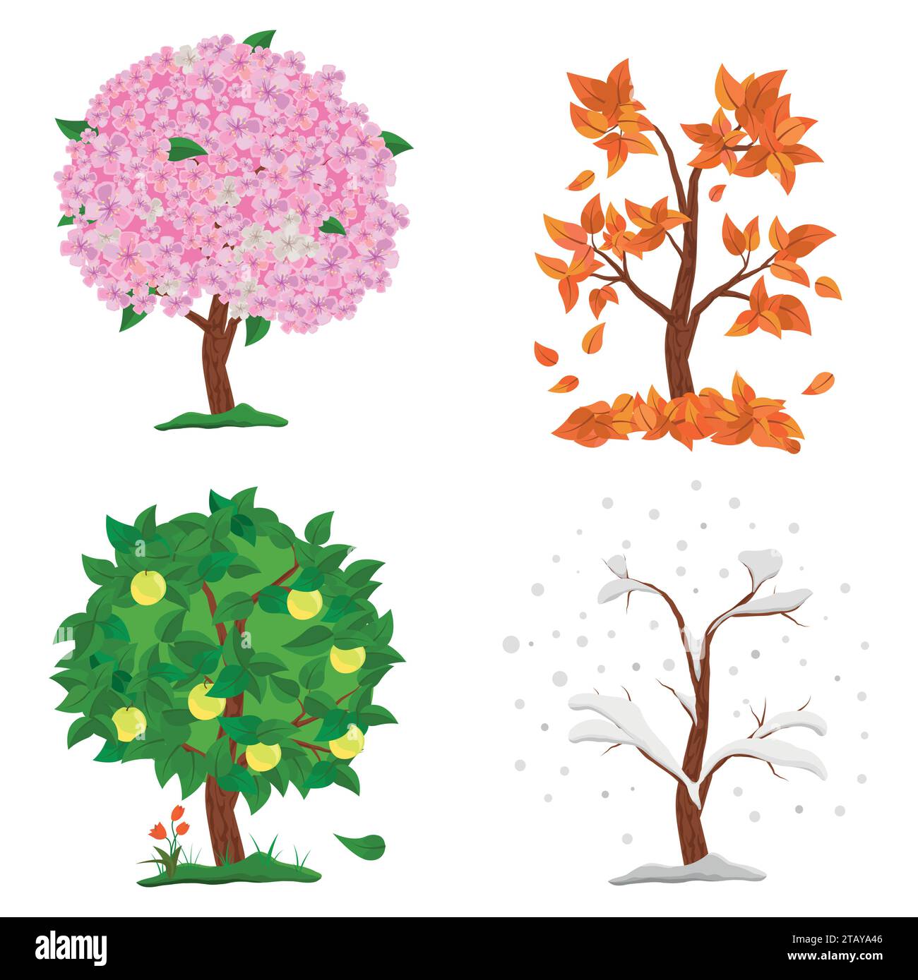 Arbres fruitiers en hiver Banque d'images vectorielles - Alamy