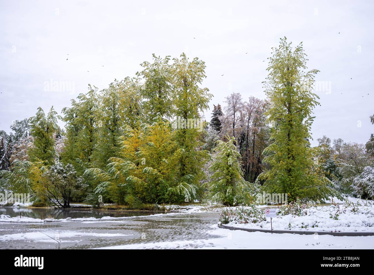 Le parc de la ville d'automne a couvert la première neige précoce ...