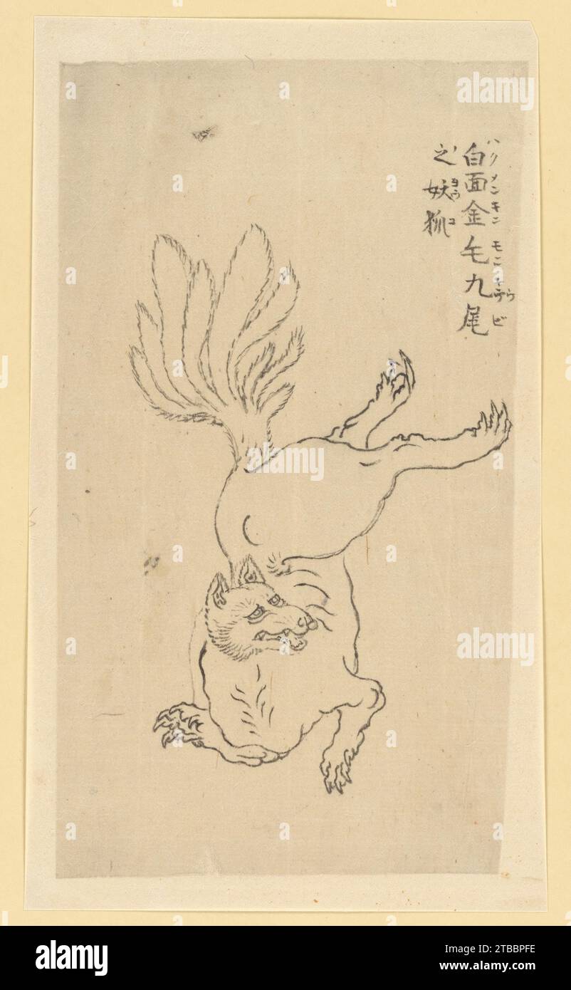 Renard doré à neuf queues Banque de photographies et d’images à haute ...