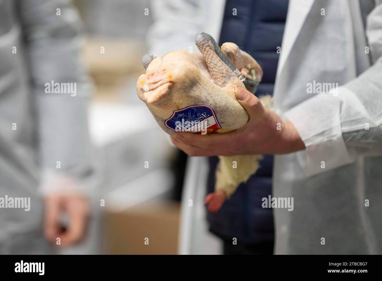 Cette photographie montre un employé qui travaille avec de la volaille ...