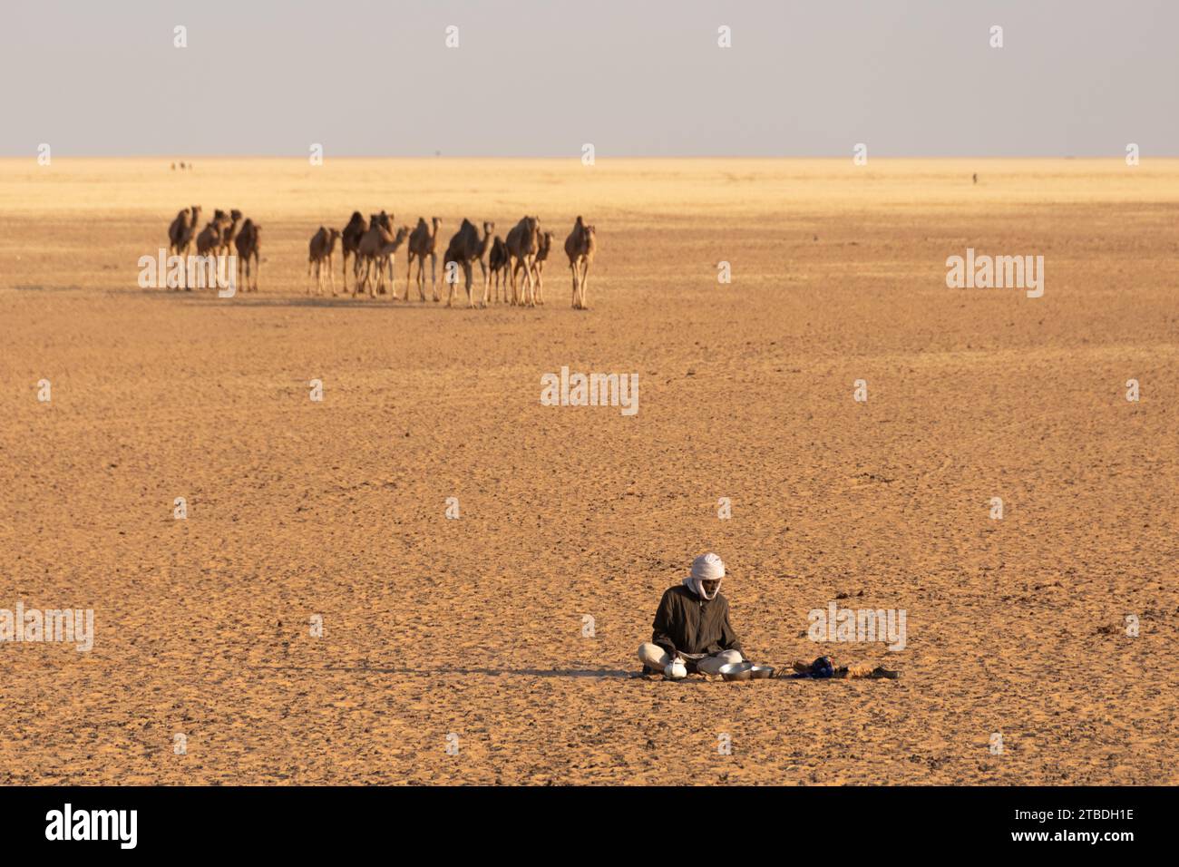 Sahel desert Banque de photographies et d’images à haute résolution - Alamy