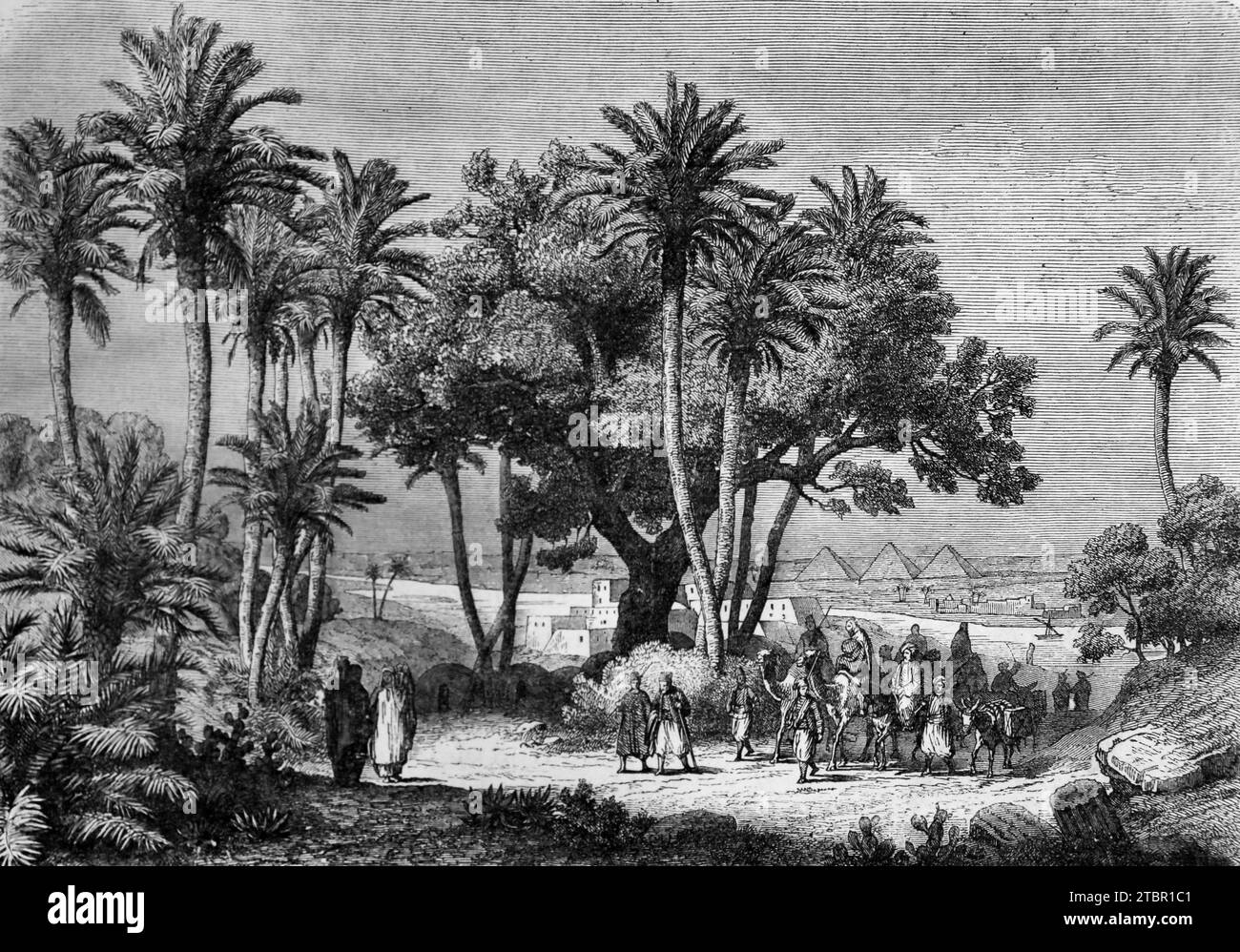Illustration de gravure sur bois des pyramides de Gizeh et du Nil dans ...