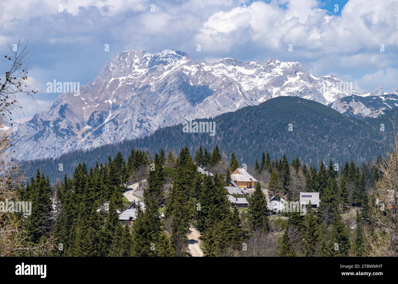 Une image du paysage de Velika Planina, ou plateau de Big Pasture, et ...