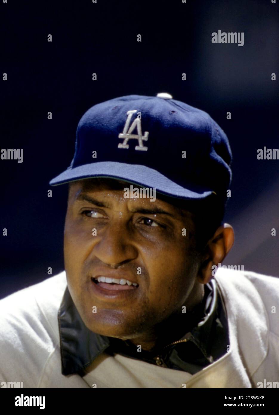 VERO BEACH, FL - MARS, 1958 : Don Newcombe #36 des Dodgers de Los ...