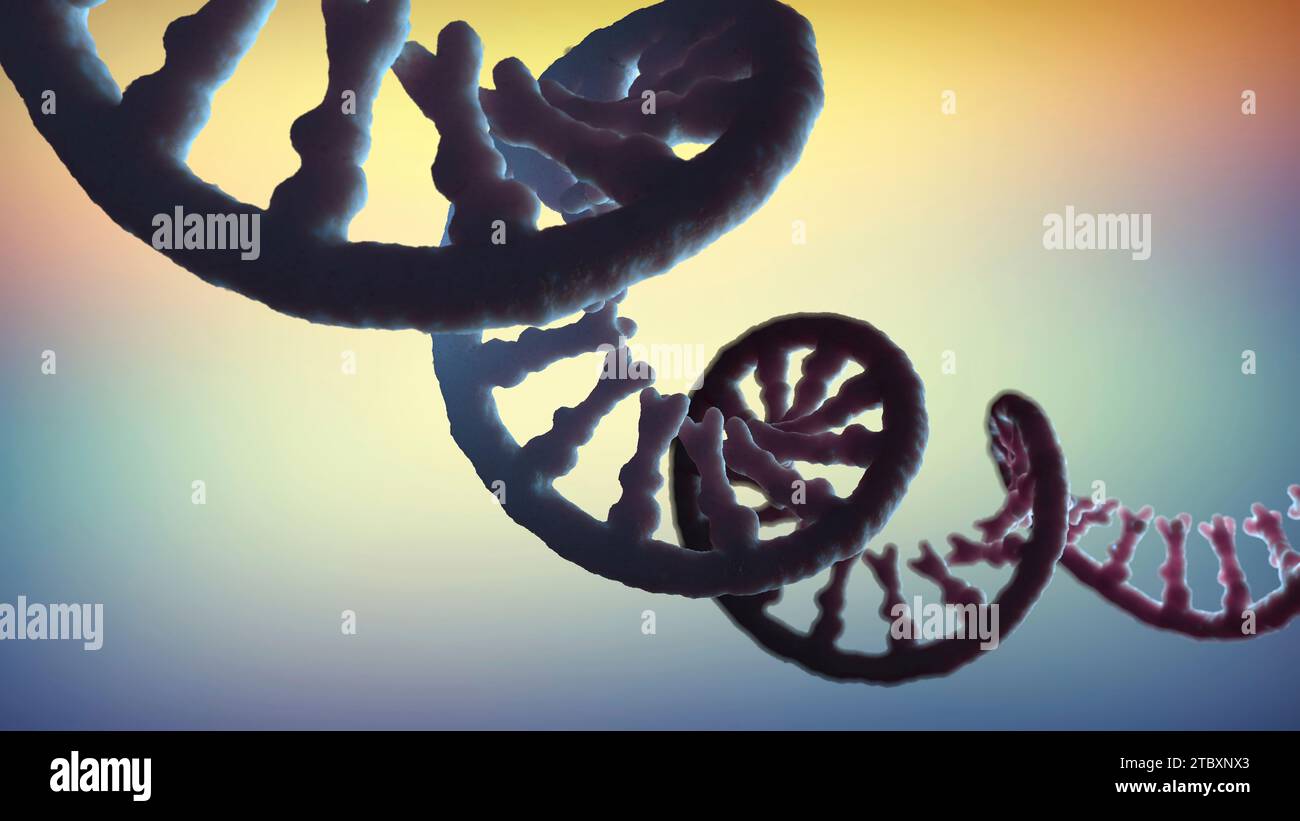 Messager rna Banque de photographies et d’images à haute résolution - Alamy