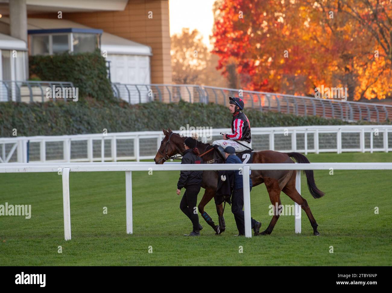 Ascot, Royaume-Uni. 25 novembre 2023. Horse Funambule Sivola monté par ...