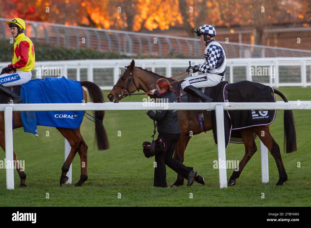 Ascot, Royaume-Uni. 25 novembre 2023. Horse Corrigeen Rock monté par le ...
