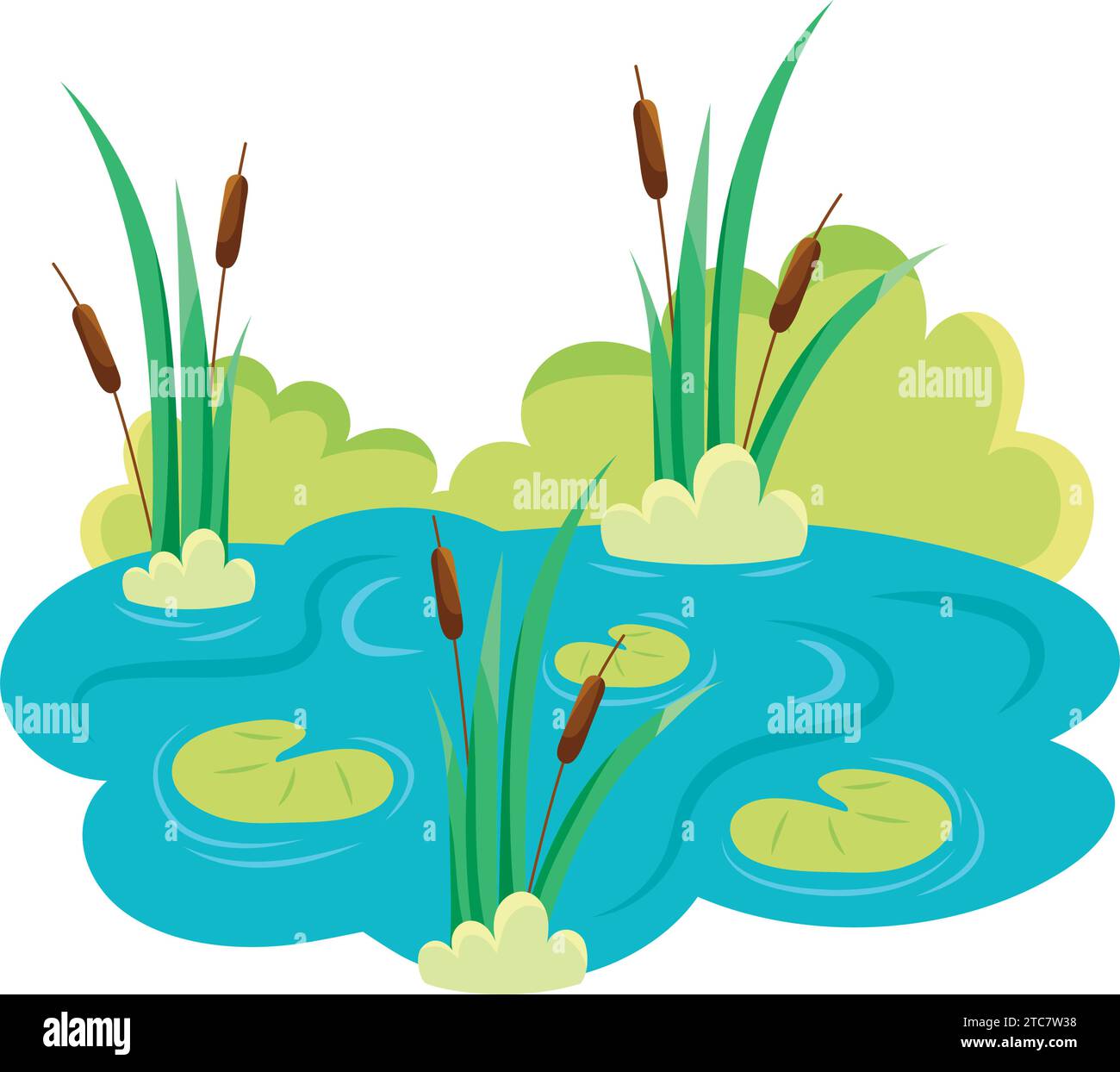 Conservation de l'habitat des zones humides Banque d'images ...