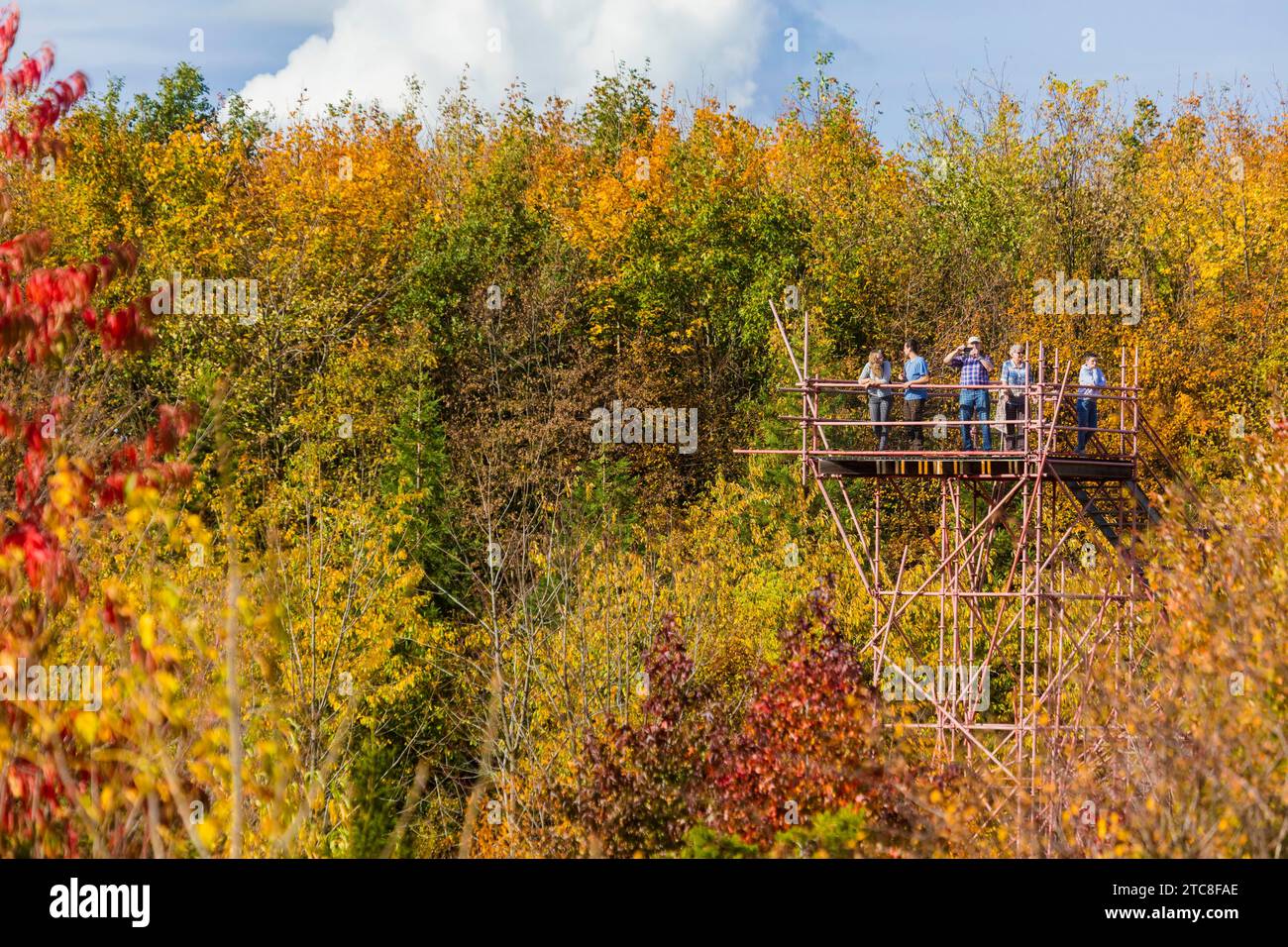 Le jardin botanique forestier de Tharandt est une institution de l ...