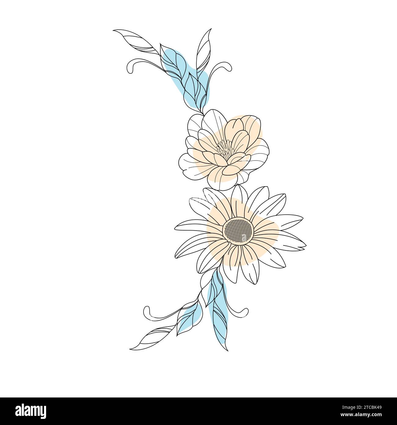 Contour en fleur Banque d'images détourées - Alamy