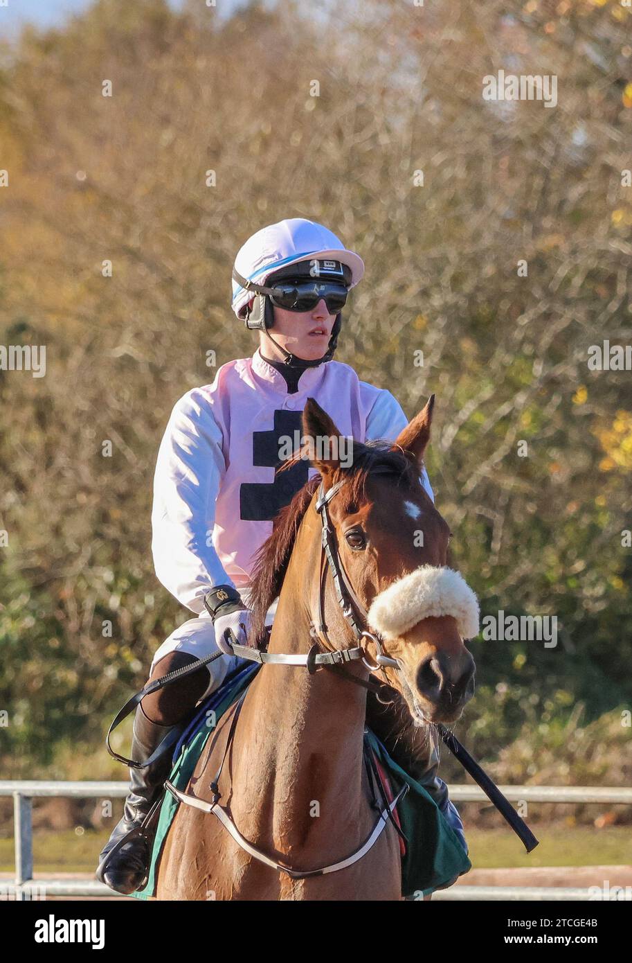 Fizzle rock carl millar 2023 Banque de photographies et d’images à ...