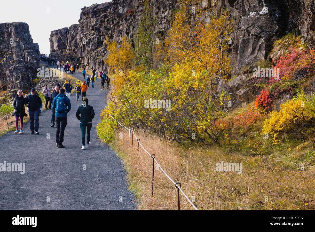 Islande, cercle d'Or, Parc National de Thingvellir aux couleurs de l ...