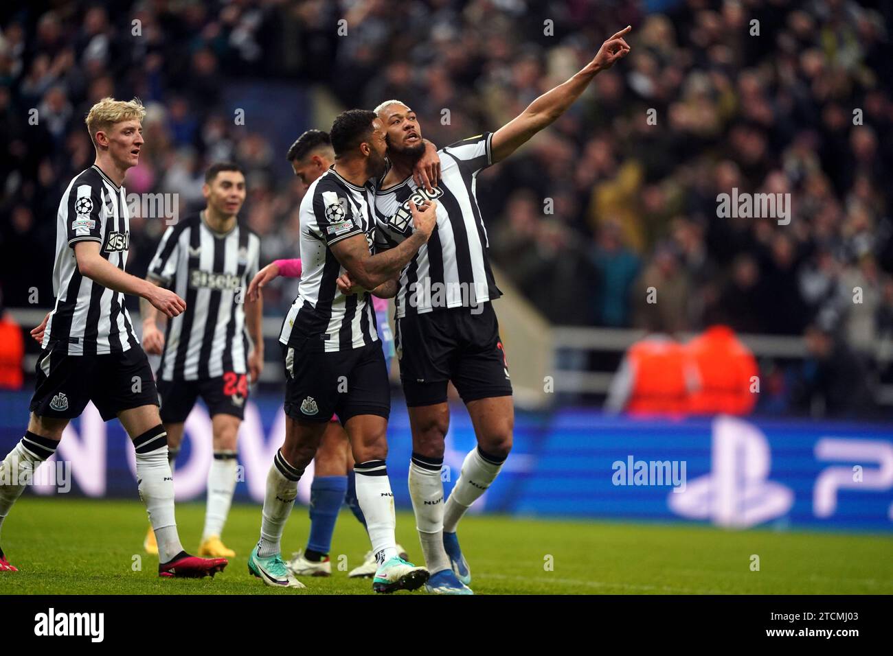 Joelinton de Newcastle United célèbre avoir marqué le but d'ouverture avec Callum Wilson lors du ...