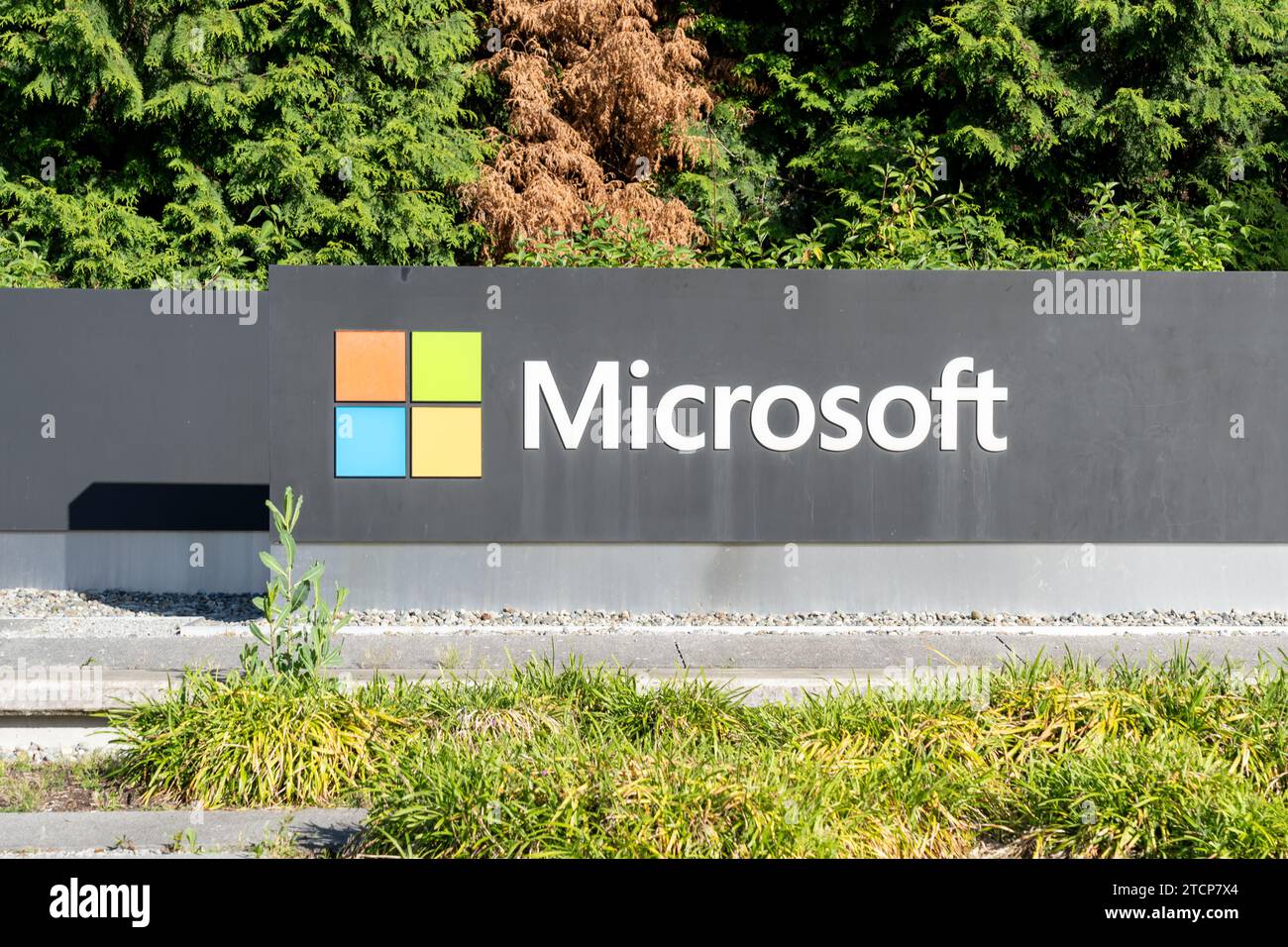 Logotipo de microsoft edge Banque de photographies et d’images à haute ...