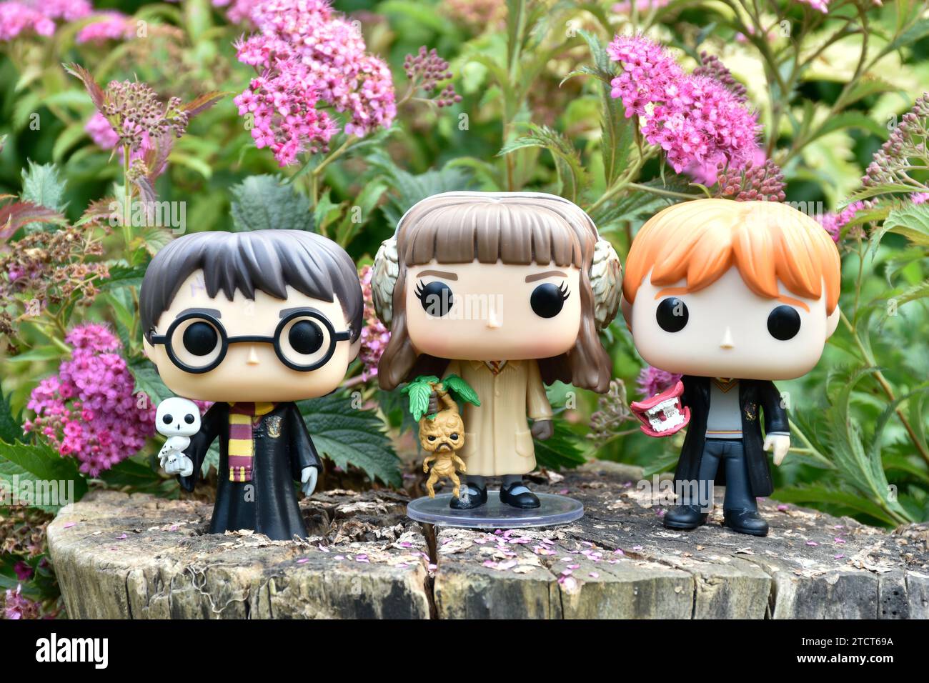 Figurines Funko Pop de Harry Potter, Hermione Granger et Ron Weasley ...