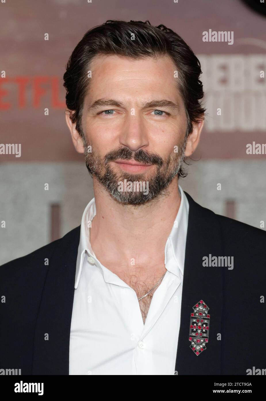 HOLLYWOOD, CA - DÉCEMBRE 13 : Michiel Huisman à LA première de NETFLIX ...